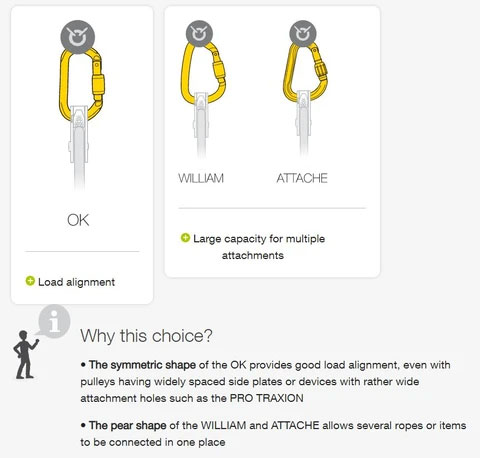 A GUIDE TO CARABINERS - Absafe