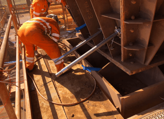 Cardox Form Demo - Absafe